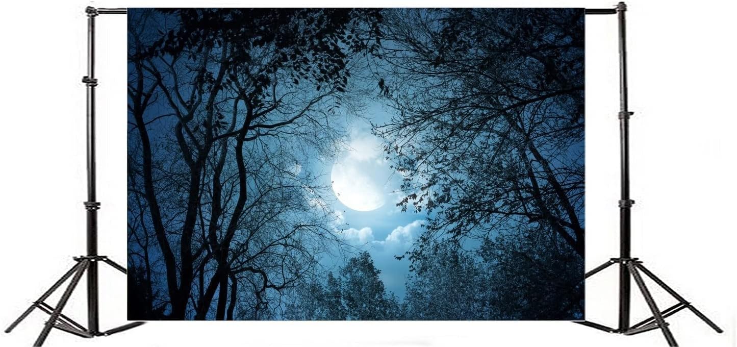 Renaiss 10x8ft Night Sky Backdrop Forest Night View Background Moon ...