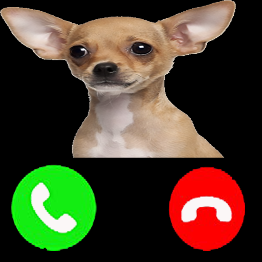 Fake Call From Your Chihuahua Dog, Puppy Calling Prank for Dogs Lovers ...