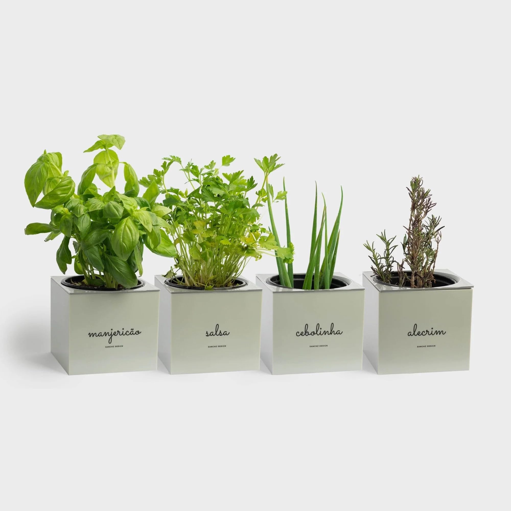 Kit Plantio Completo Minha Horta Plástico Vaso Autoirrigável Substrato ...