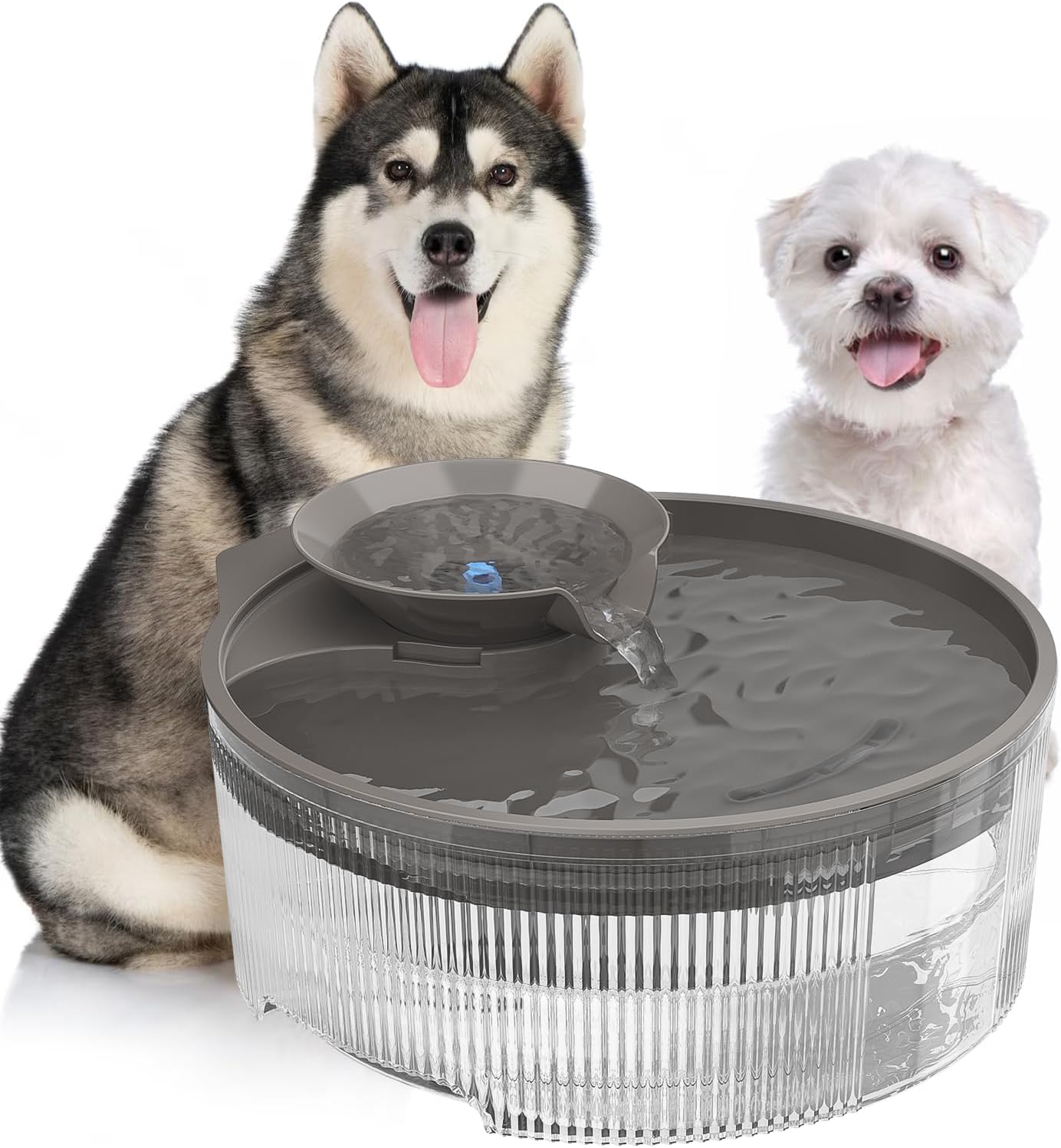 Pet Supplies : aiimll Cat Water Fountain Stainless Steel - 101oz/3L Pet ...