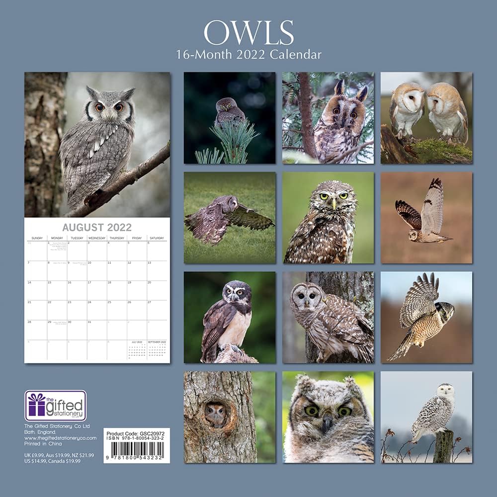 2022 Square Wall Calendar – Owls, 12 x 12 Inch Monthly View, 16-Month ...