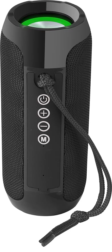 ZEBRONICS Zeb-Action Wireless 10W Portable Speaker, Supporting ...