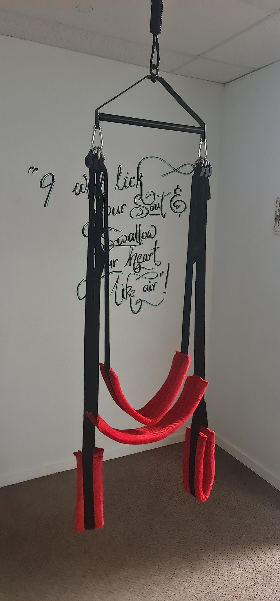 Swing Door Kit, Comfortable Support with Strong Nylon, Adjustable ...