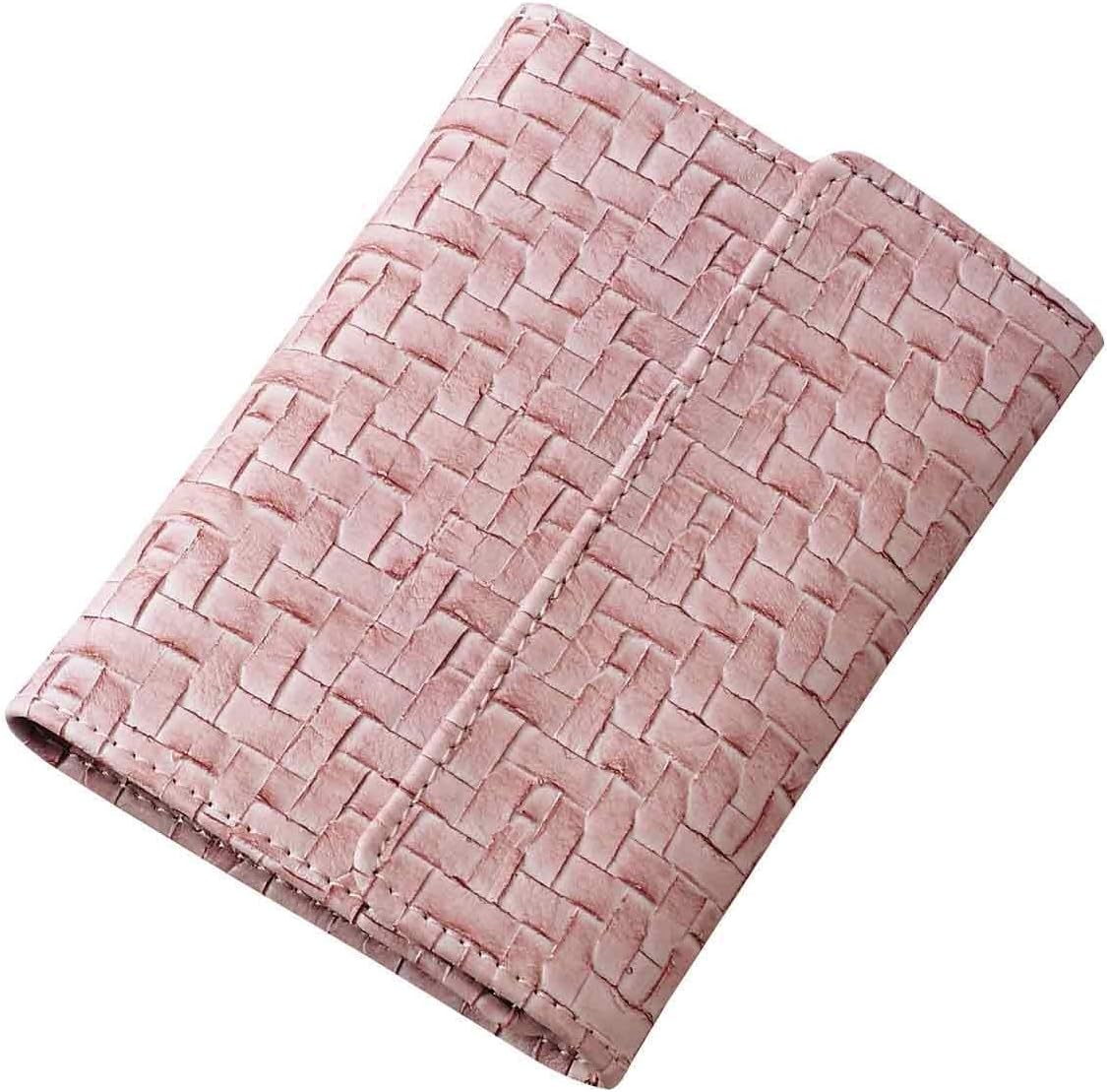 Lei mesh card holder pink CH21P (japan import) : Amazon.ca: Office Products