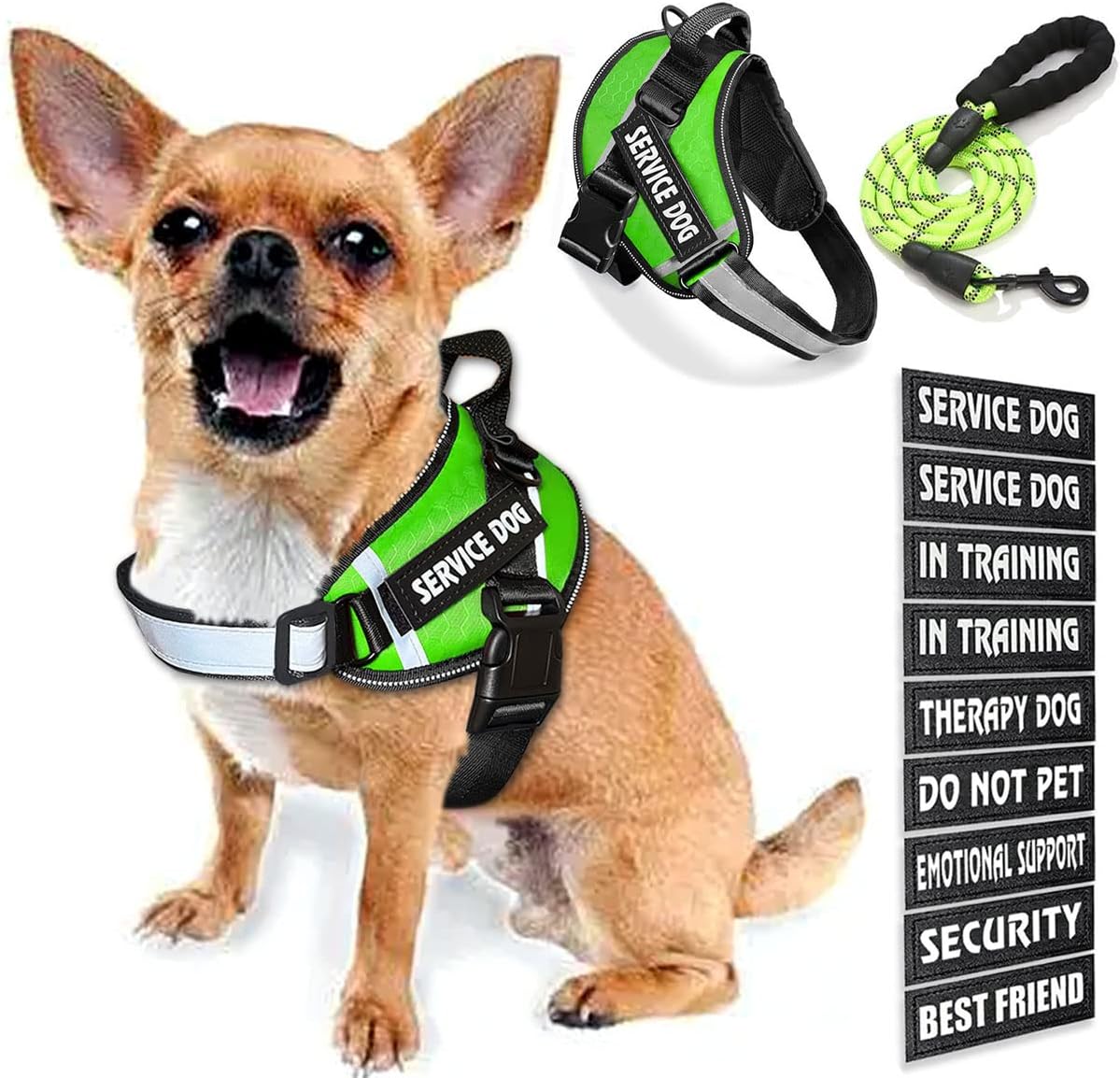 Amazon.com : No Pull Dog Harness and Leash Set, Animire in Training ...