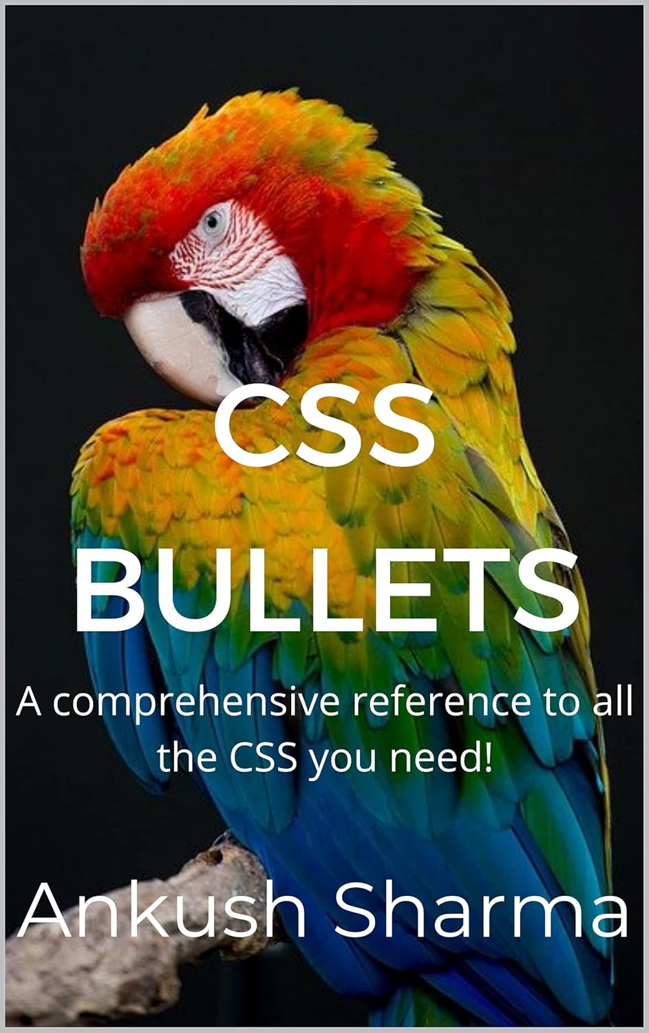 CSS Bullets: A comprehensive reference to all the CSS you need! eBook ...