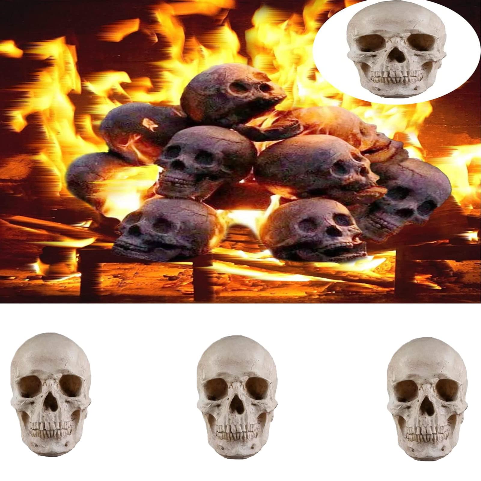 Frightening Human Skulls Human Scary Skull Locally Deformed Rich Stock