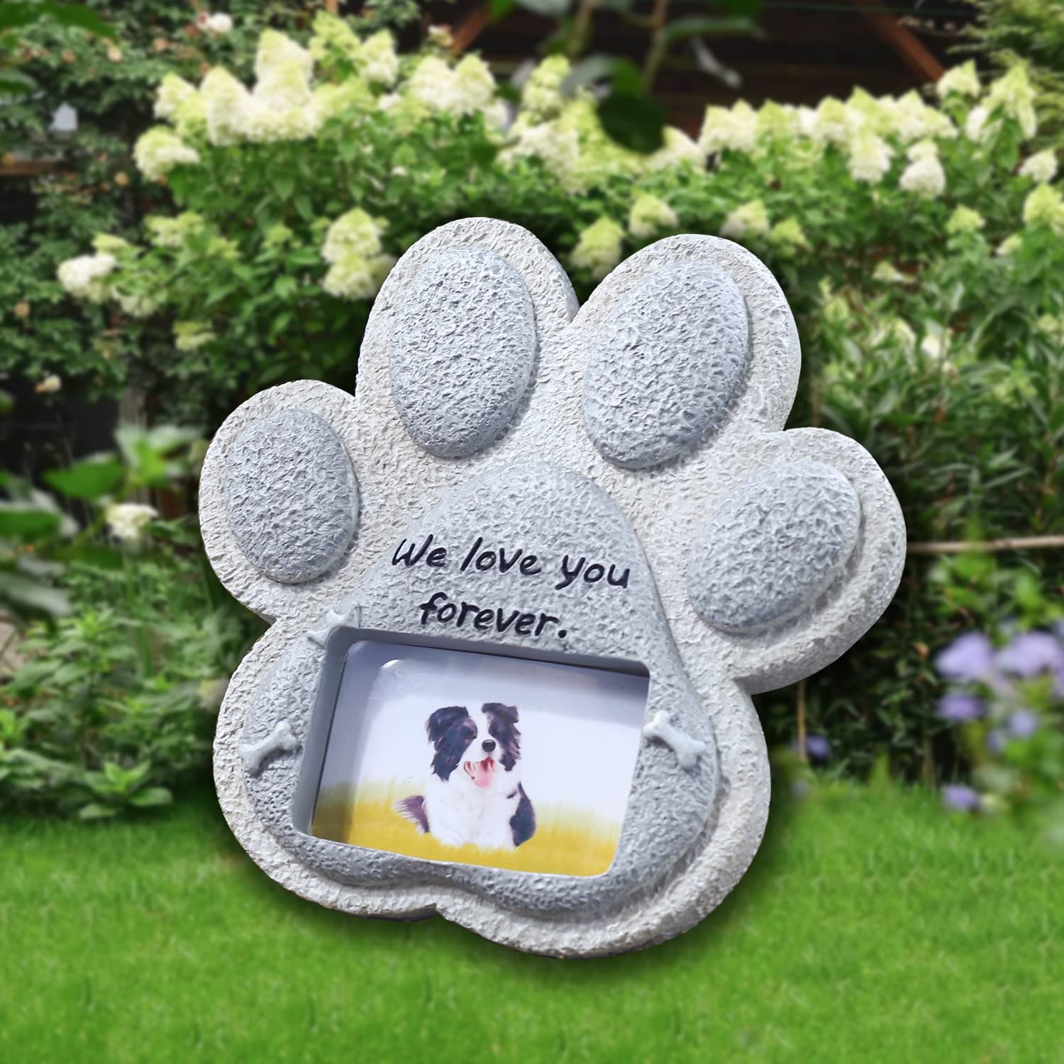 Realistic Dog Paw Print