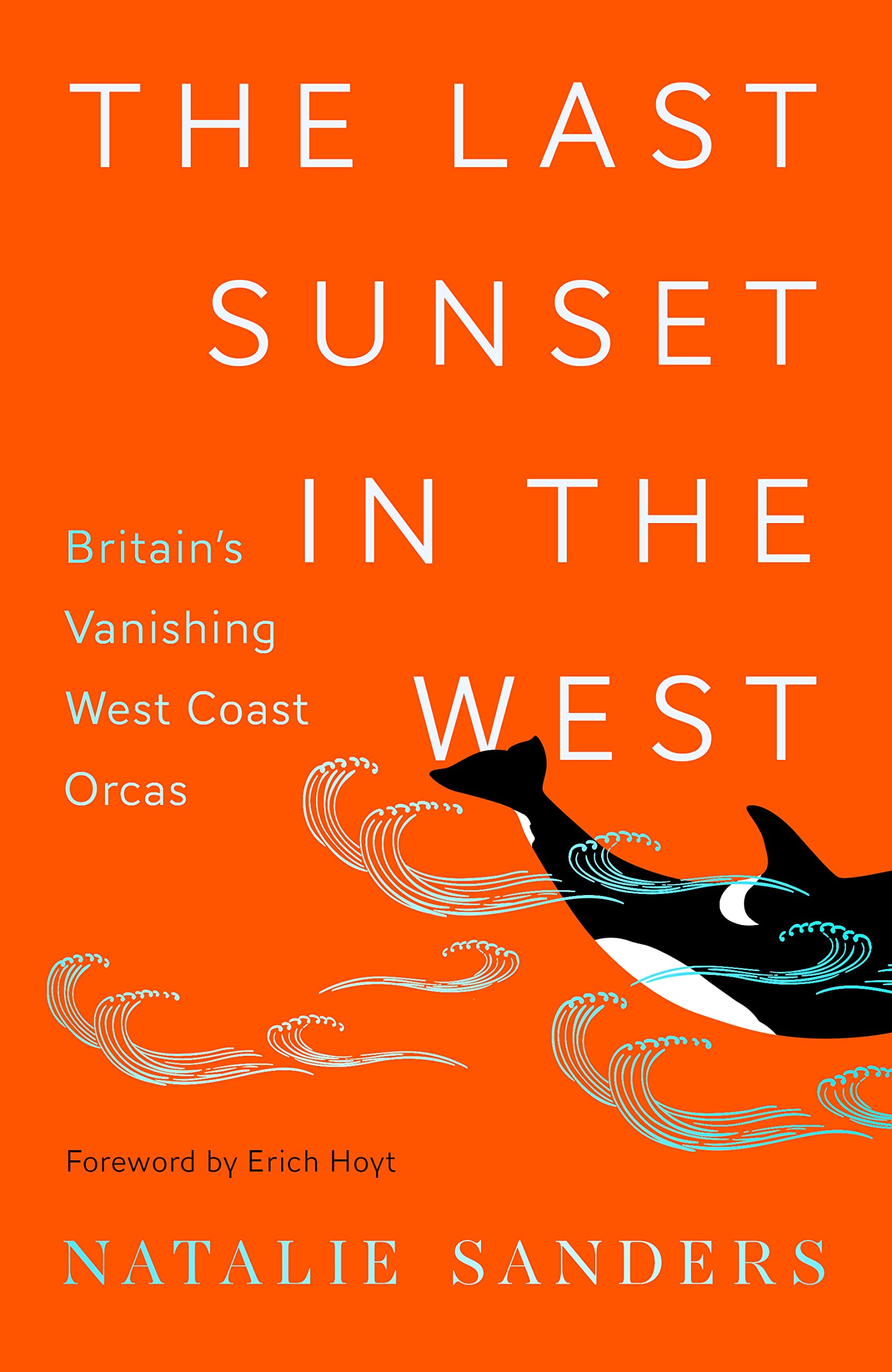 The Last Sunset in the West: Britain’s Vanishing West Coast Orcas ...