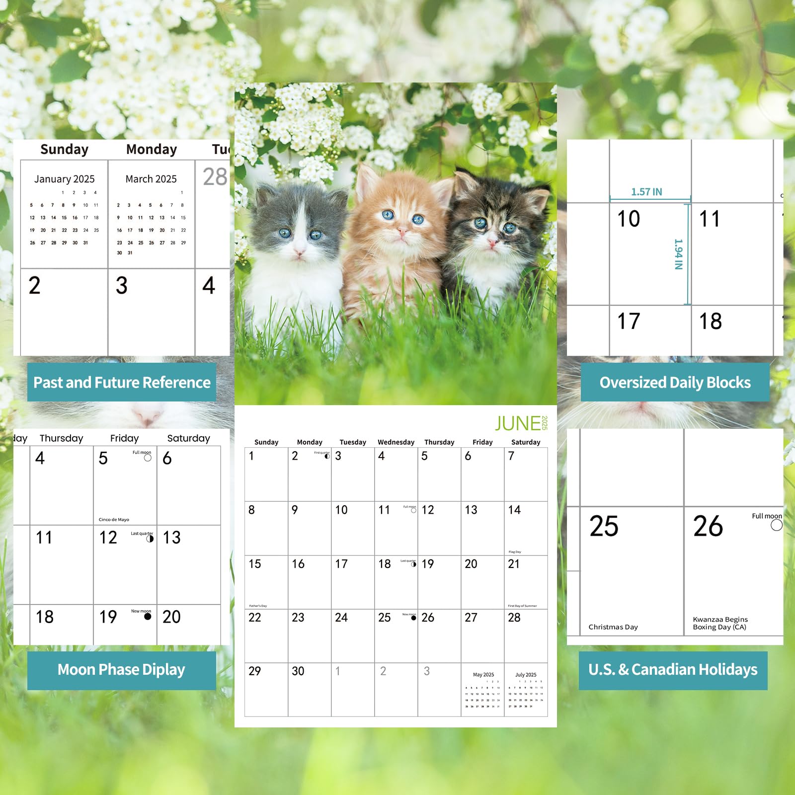 Snapklik.com : 2025 Wall Calendar,Calendar 2025,Kittens Monthly Wall ...