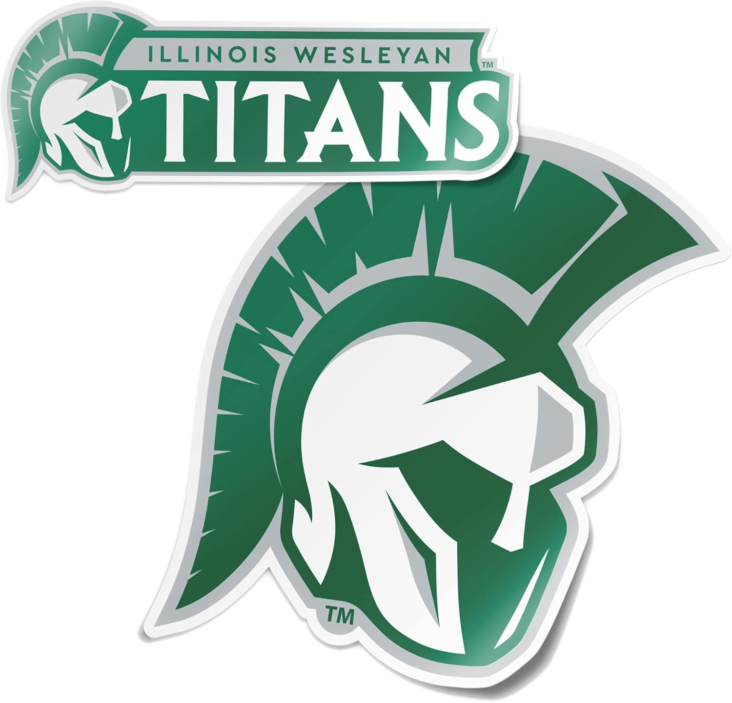 Amazon.com: Desert Cactus Illinois Wesleyan University IWU Titans ...