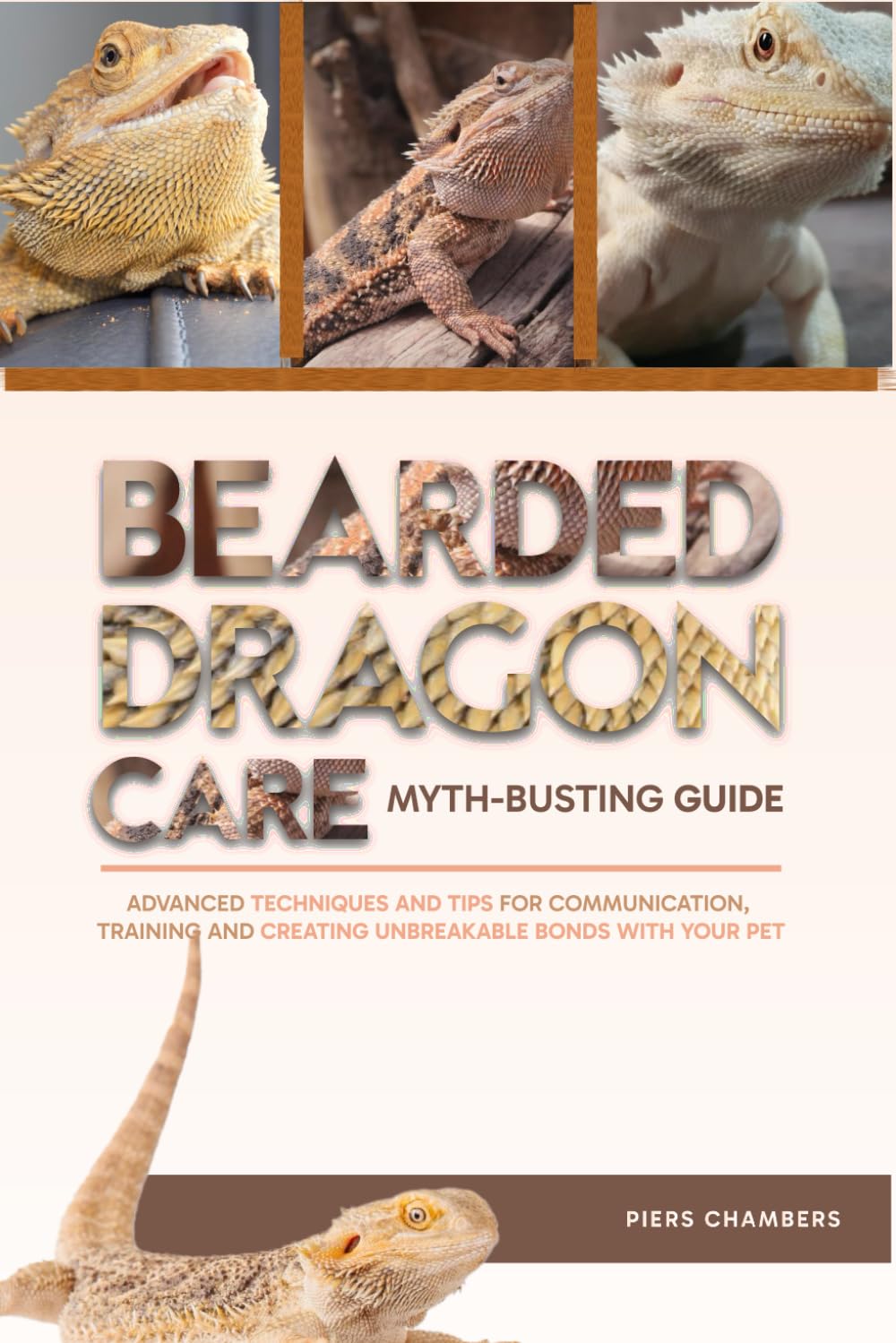 Bearded Dragon Care Myth-Busting Guide: Advanced Techniques and Tips ...