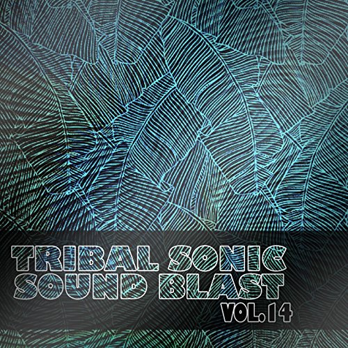 Play Tribal Sonic Soundblast,Vol.14 by VARIOUS ARTISTS on Amazon Music