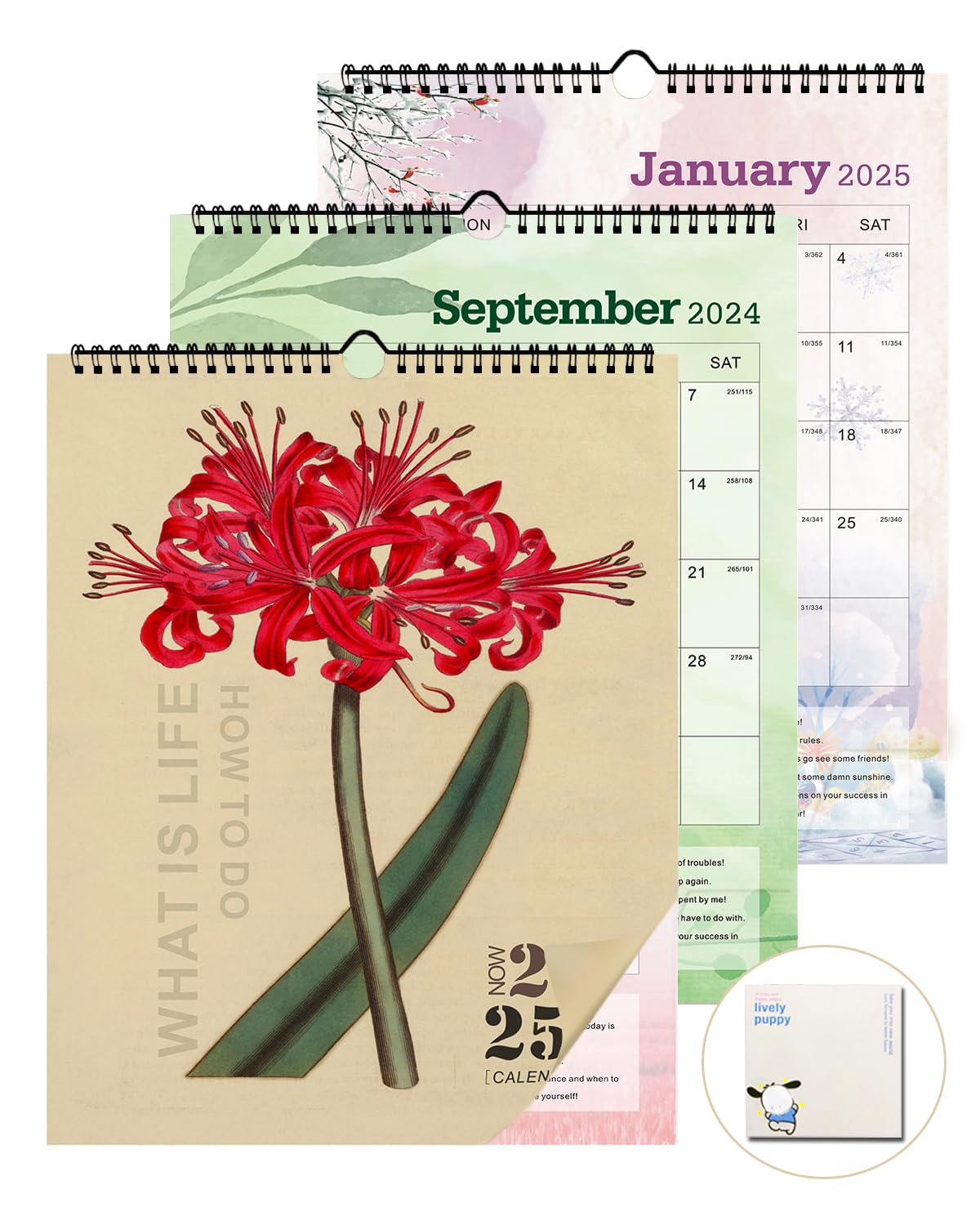 Amazon.com: Aesthetic 2024-2025 Wall Calendar - Aug 2024 to Dec 2025 ...