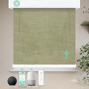 Amazon.com: MING CHEN Light Filtering Motorized Roller Shades with Remote, Built-in Rechargeable ...