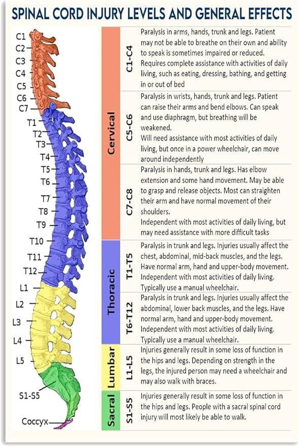 Amazon.com : Spinal Knowledge Metal Signs Vintage Spinal Cord Injury ...