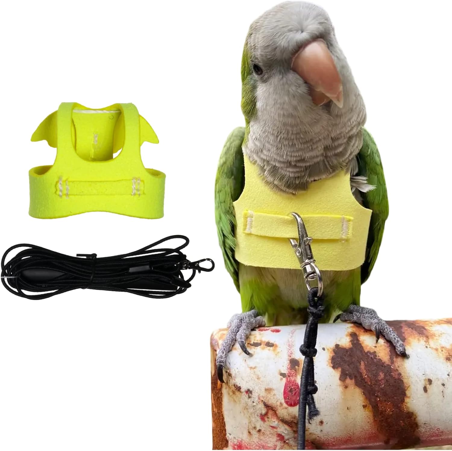 Amazon.com : Bird Flight Harness Vest, Parrot Flight Suit with Leash ...