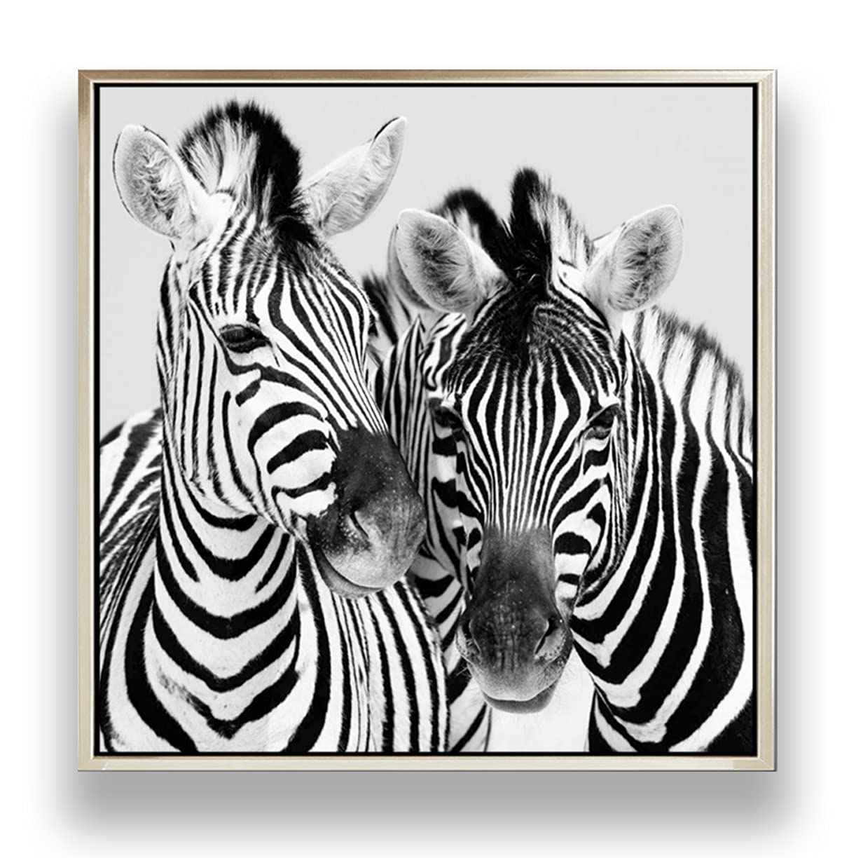 Zebra Print Drawings