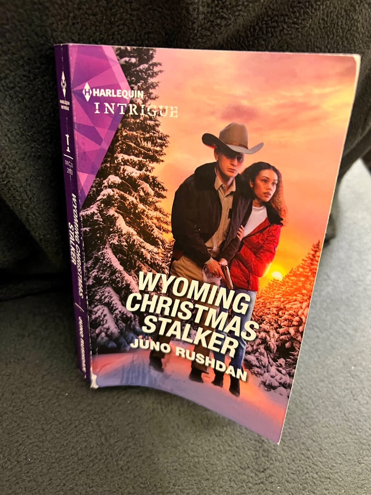 Wyoming Christmas Stalker / In The Arms Of The Law: Juno Rushdan ...