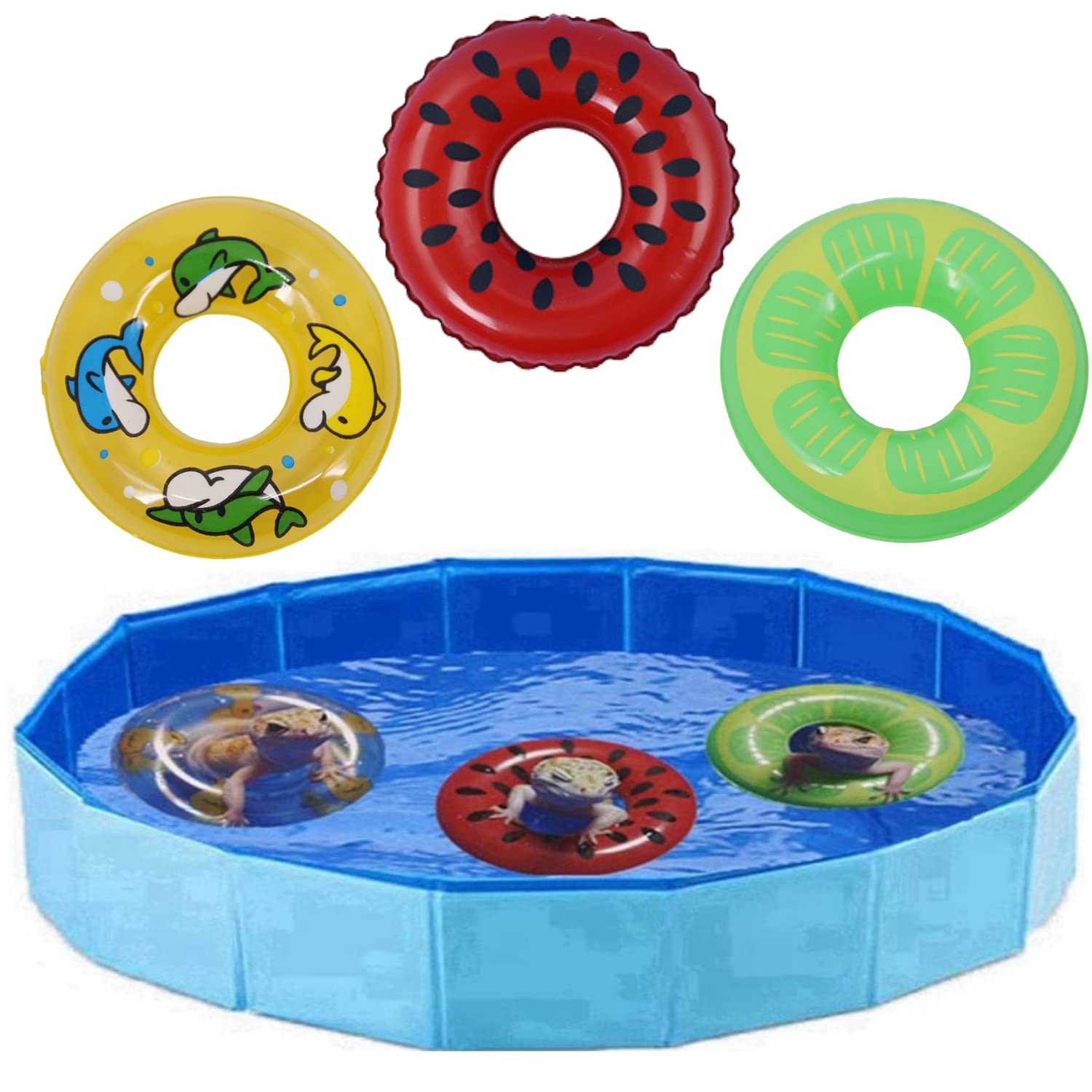 Amazon.com: Bearded Dragon Swimming Pool with Inflatable Float Set ...