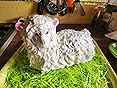 Amazon.com: KIBS Group Lamb Cake Mold - 3D Easter Lamb Cake Pan, 9.8" x 5.9": Home & Kitchen