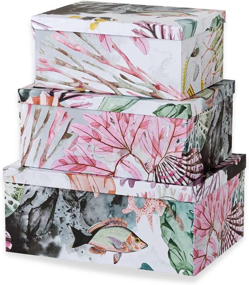 Amazon.com - Soul & Lane Decorative Storage Cardboard Boxes with Lids ...