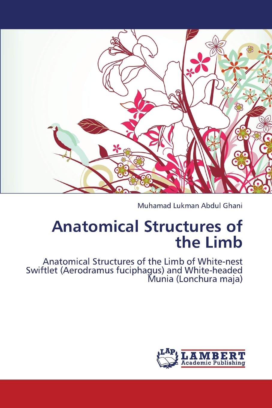 Anatomical Structures Of The Limb Anatomical Structures Of The Limb ...