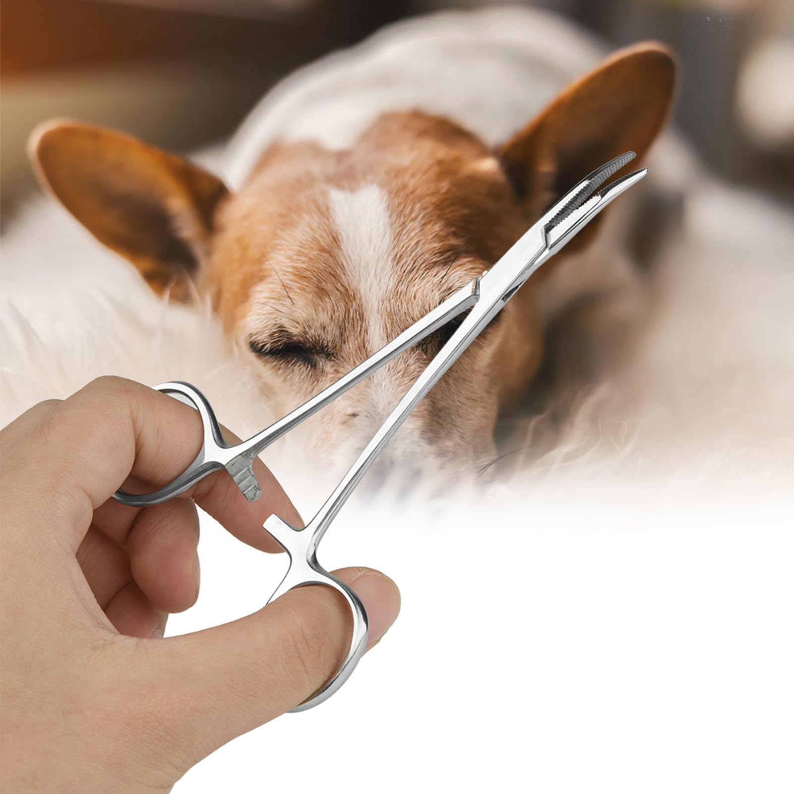 Dog Cat Grooming Tools Pet Ear Hair Tweezers - Stainless Steel Curved ...