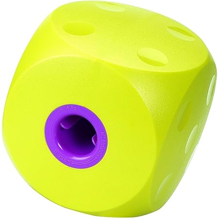 Buster Cube Large for Medium and Large Dogs (Colour: Lime) : Amazon.co ...