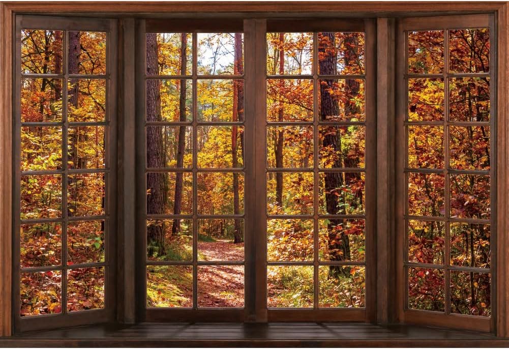 Amazon.com : Laeacco 10x8ft Autumn Window Scenery Backdrop, Yellow ...