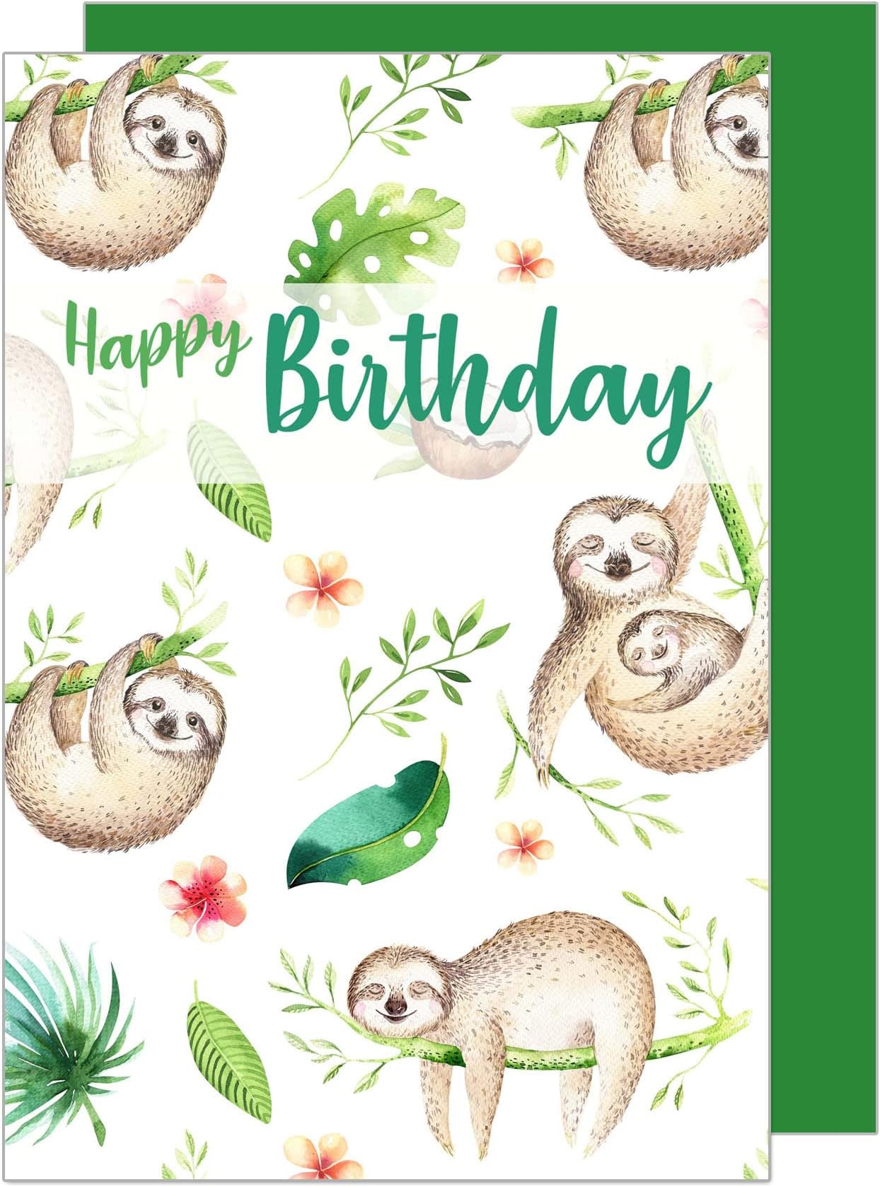 Amazon.com : Edition Seidel Greeting Card, Birthday Premium Paper ...
