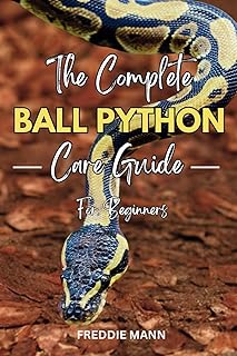 The Many Types Of Ball Python: A Guide To The Different Varieties | PetShun