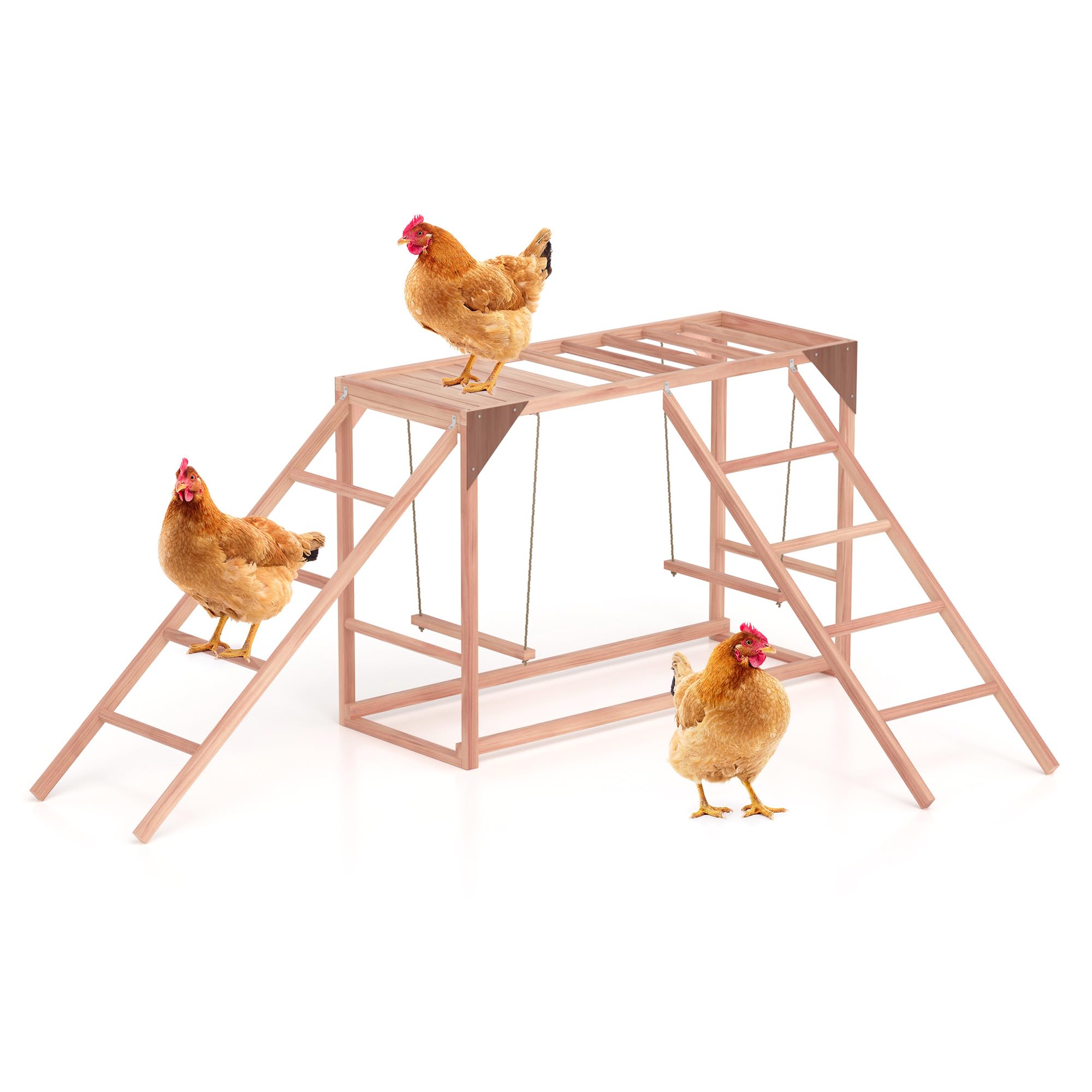 Amazon.com: Chicken Perches with 2 Ladders & 2 Swings for Chicken Coops ...