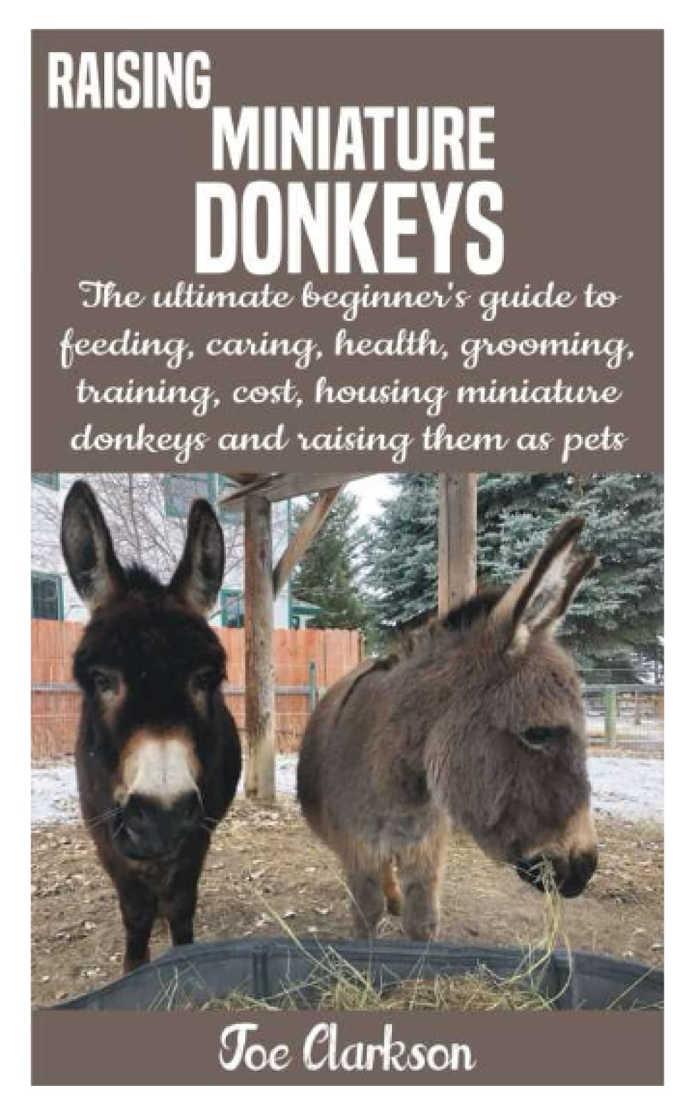 Buy RAISING MINIATURE DONKEYS: The ultimate beginner’s guide to feeding ...