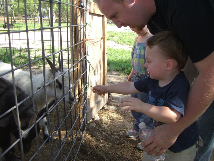 Amazon.com: Matt Trammell: books, biography, latest update