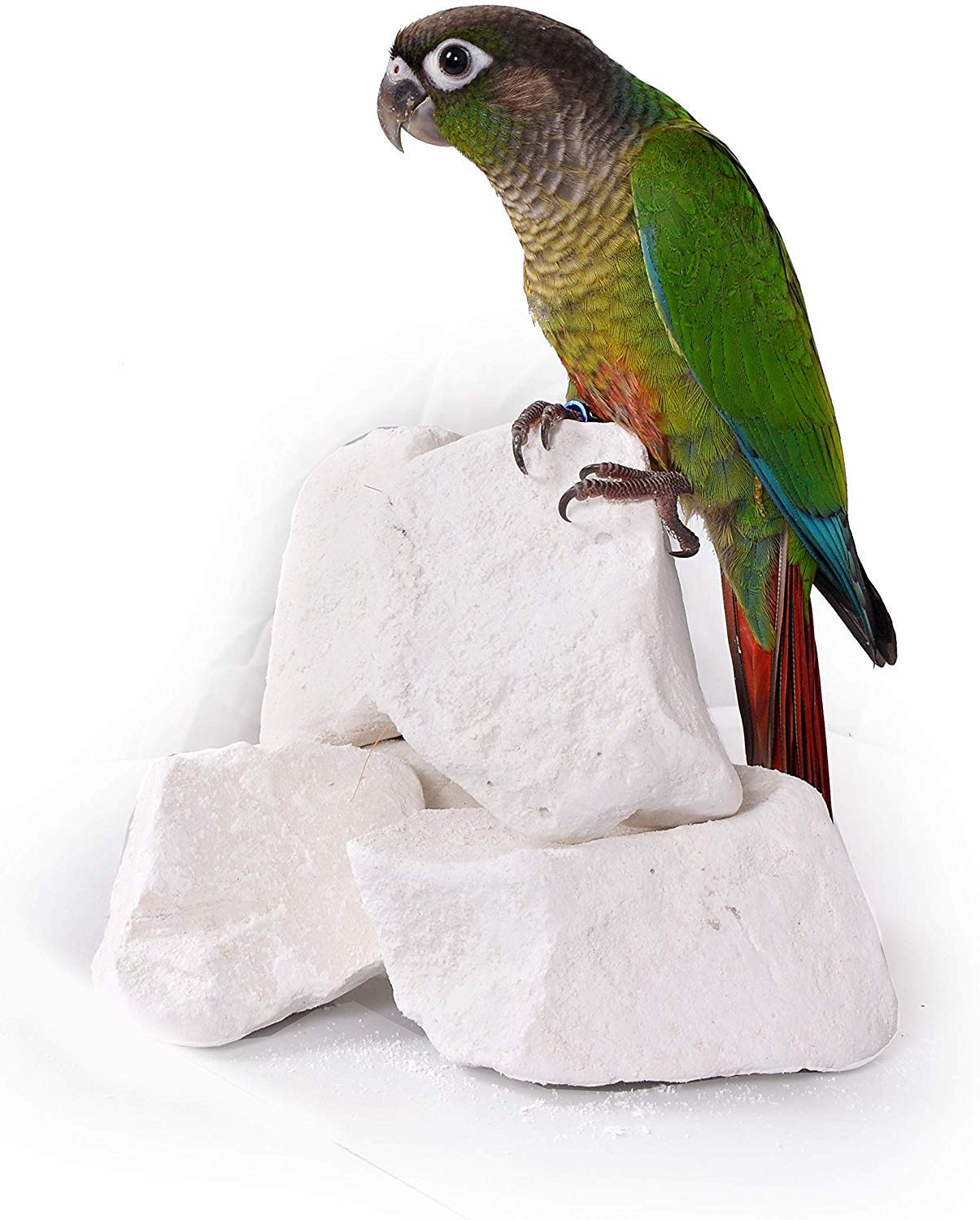 TAIYO PLUSS DISCOVERY® Bird Mineral Block, Natural Calcium Blocks (1KG ...