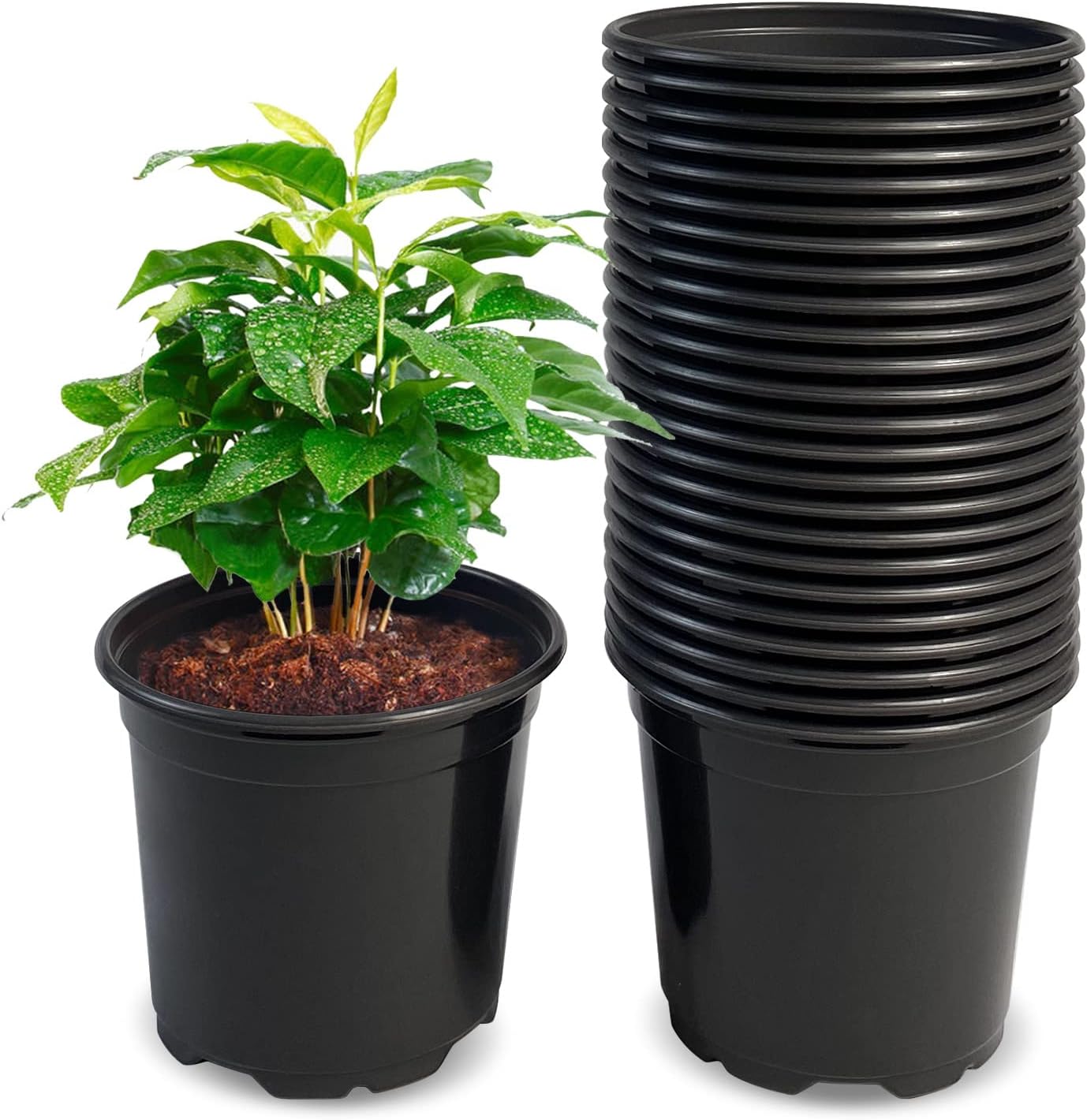 Amazon.com: RAOOKIF 25pcs 3" Nursery Pots Plastic Planter with Drainage ...