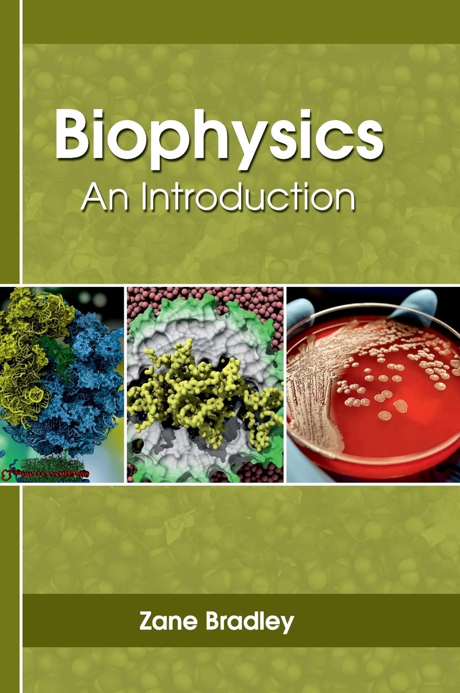Biophysics: An Introduction: Bradley, Zane: 9781635490480: Amazon.com ...