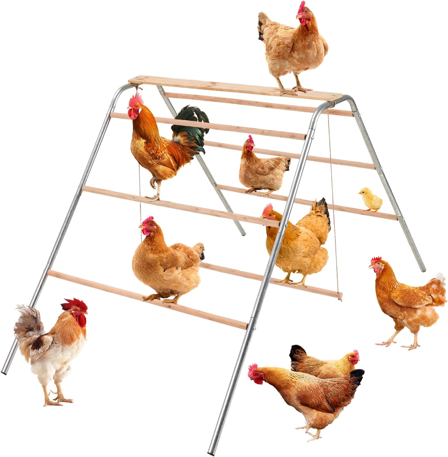 Amazon.com: Kaen Chicken Perch for Coop, Chicken Roosting Bars for ...