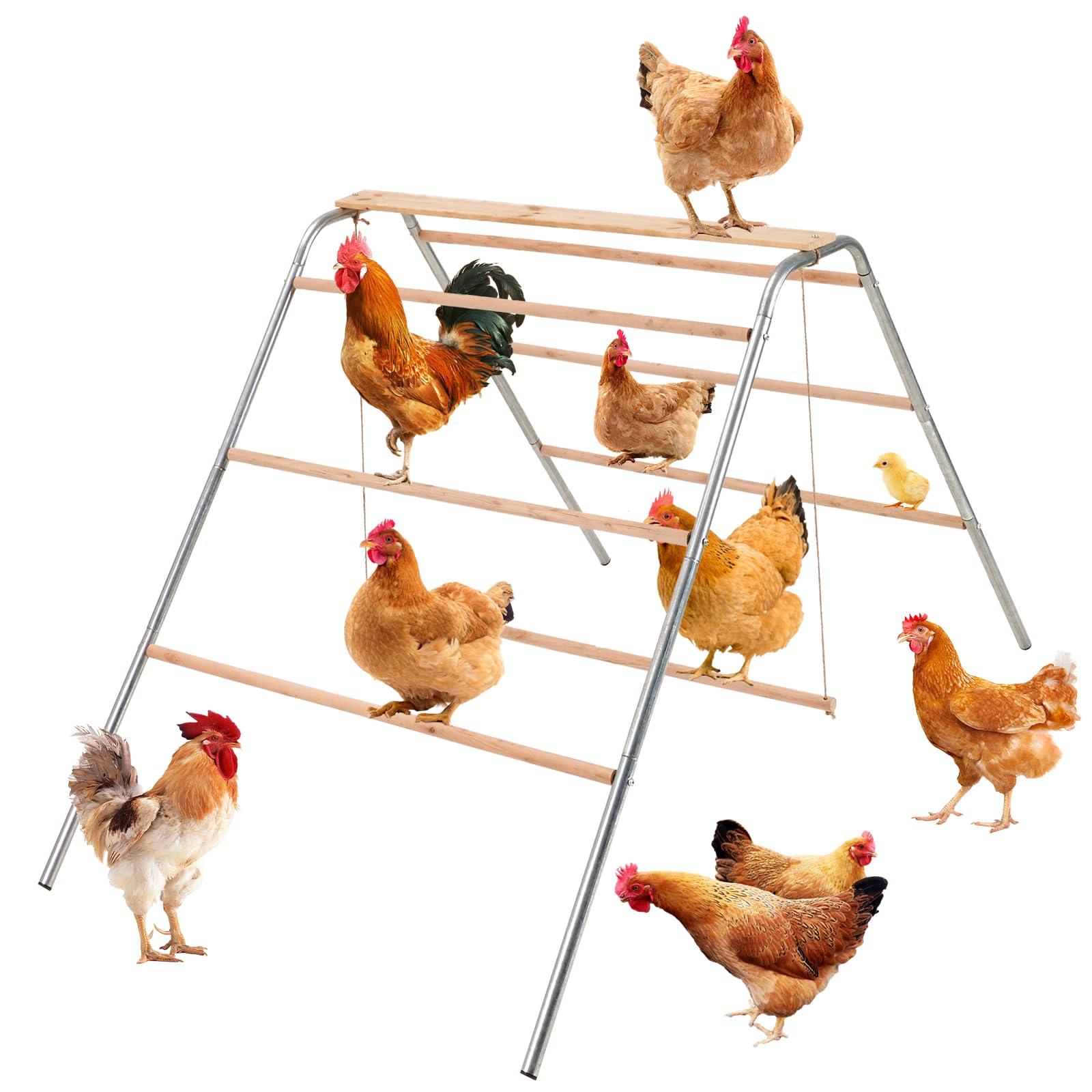 Amazon.com: INRLKIT Chicken Perch Ladder with Swing for Coops, Chicken ...