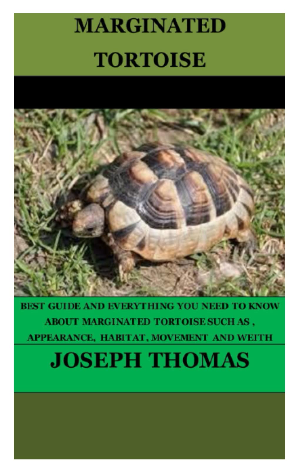 Buy Marginated Tortoise: Best Guide And Everything You Need To Know ...