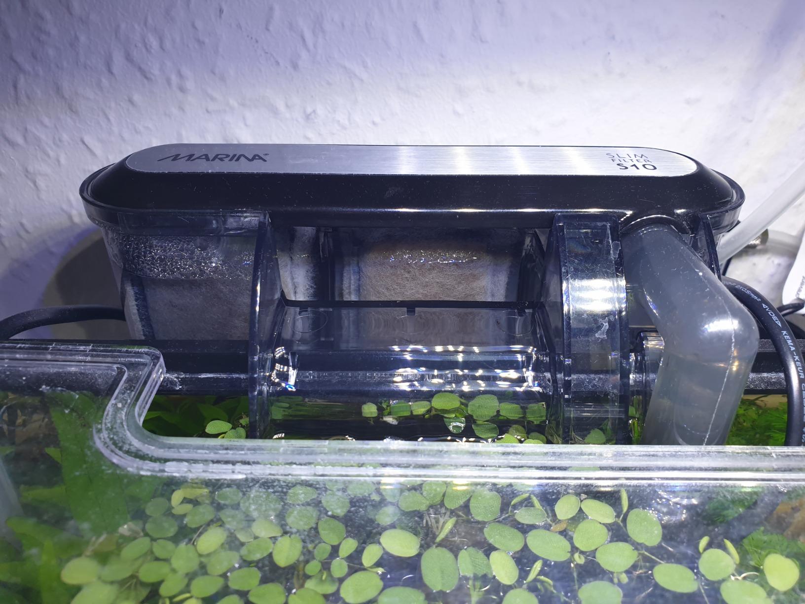 Marina Slim Filter S10 for Style Number 35 : Amazon.co.uk: Pet Supplies