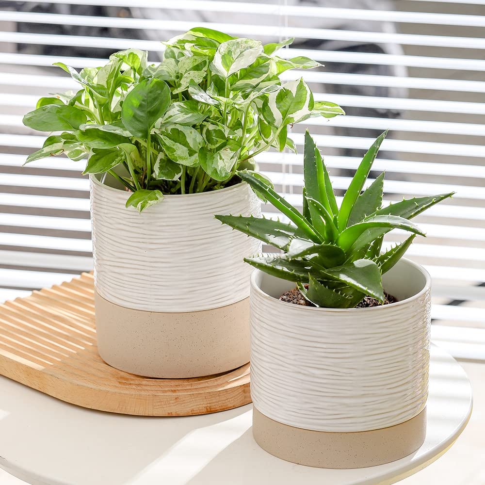 Underground Self Watering Pottery Amazon.com: GU GREENERY : UNLIMITED