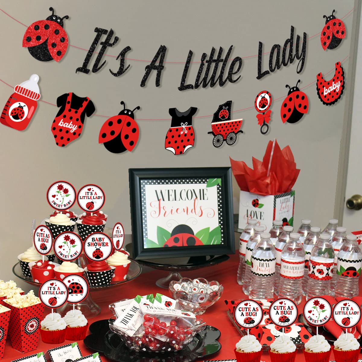 Ladybug Decorations For Baby Shower