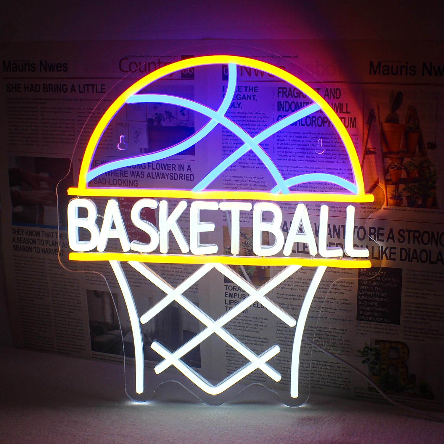 Neon Lights Arena