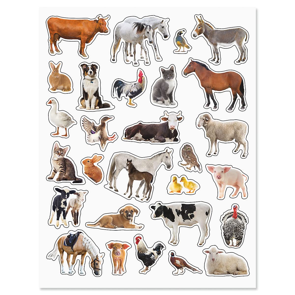 Snapklik.com : Farm Animals Stickers - 56 Stickers,Two 8-1/2" X 11 ...