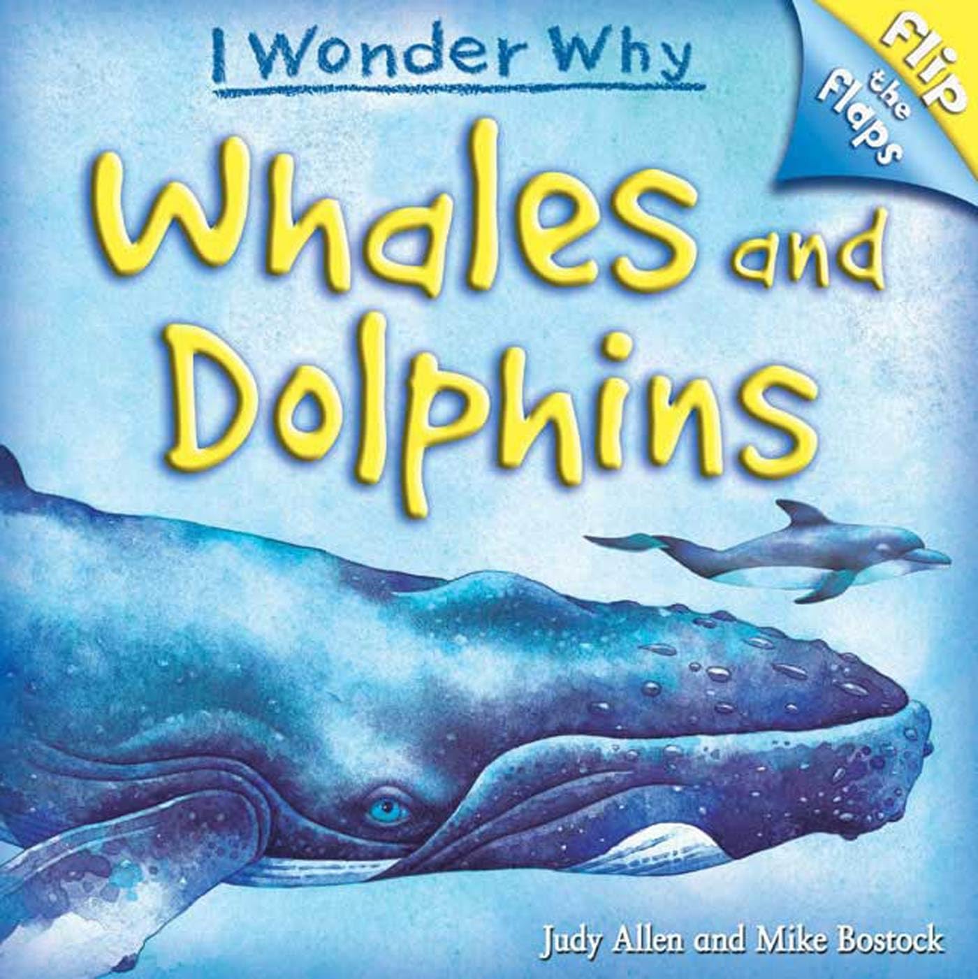 Flip The Flaps: Whales and Dolphins: Whales and Dolphins: Allen, Judy ...