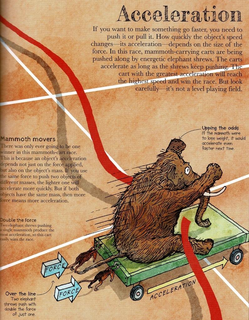 Mammoth Science: The Big Ideas That Explain Our World (DK David ...