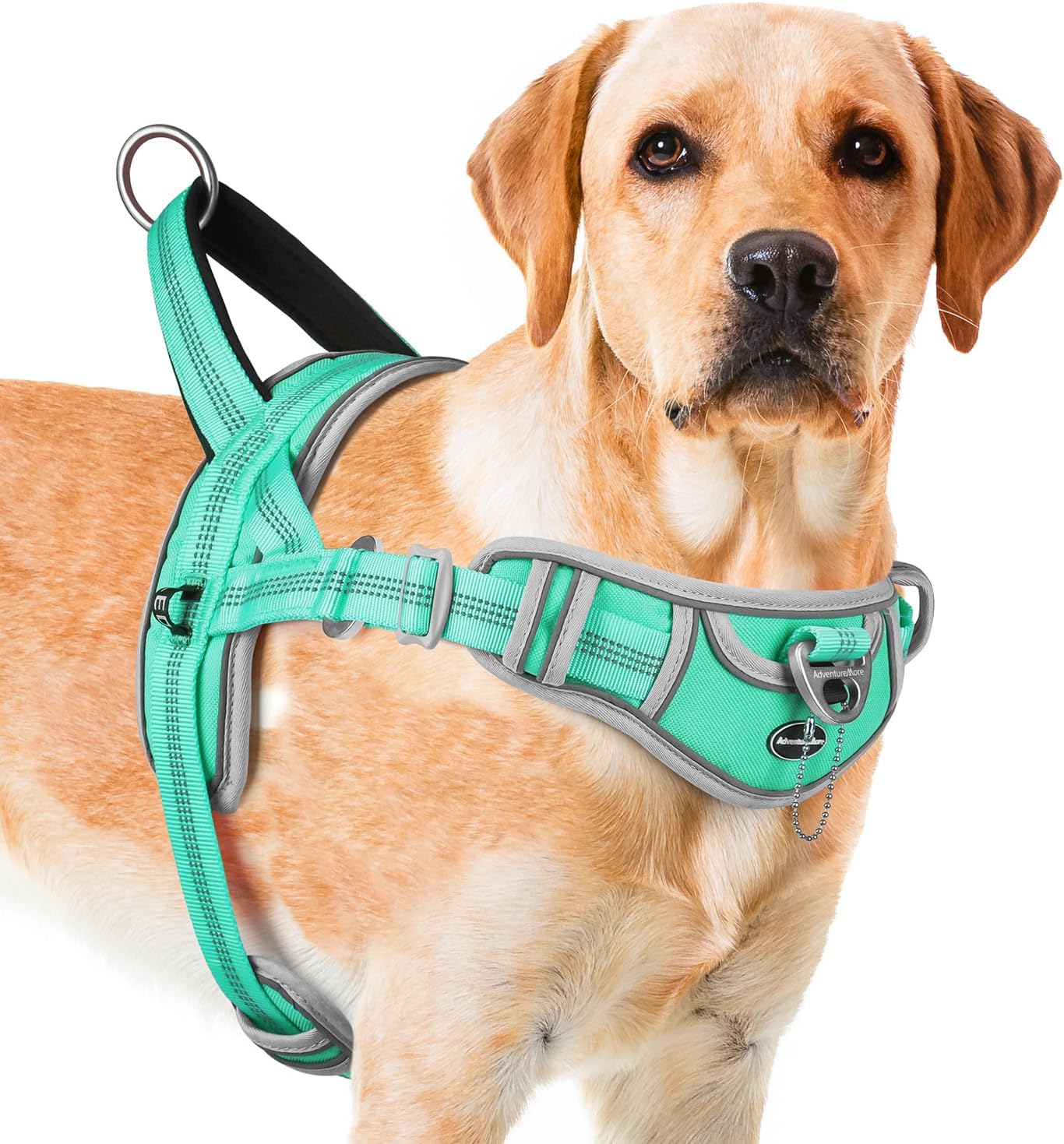 Amazon.com : ADVENTUREMORE No Pull Dog Harness for Large Dogs, Sport ...