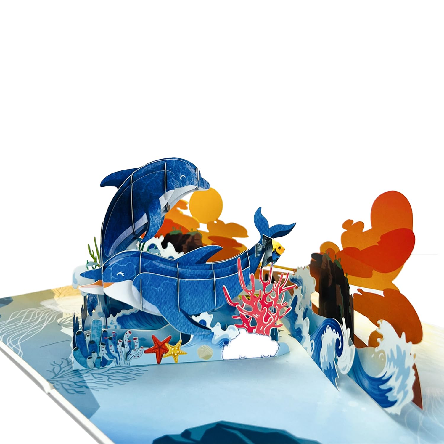 Amazon.com : CUTE POPUP - Dolphin Pop Up Card - 3D Birthday Cards for ...